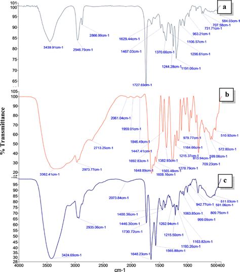 Ft Ir Spectra Of Prepared Conjugates A Hp Pcl B Nbu Pcl Hp And Download Scientific
