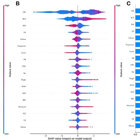 Features Importance Estimated Using The Shapley Additive Explanations Download Scientific