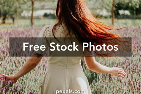 Lavender With A Bug Photos Download The Best Free Lavender With A Bug