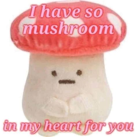 Soft Cute And Soft Meme Image 8724200 On