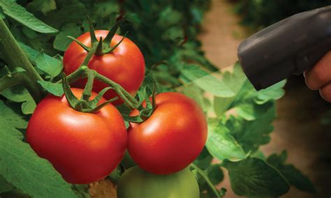 Optics And Photonics News Integrated Spectral Sensors