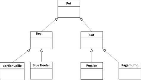 Polymorphism Cc 210 Textbook