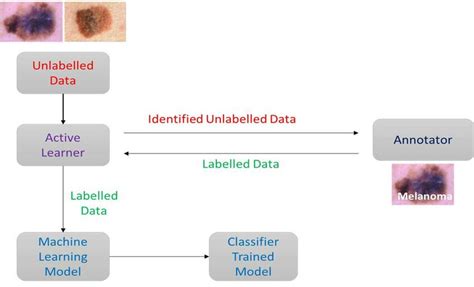Process Followed For Active Learning Download Scientific Diagram