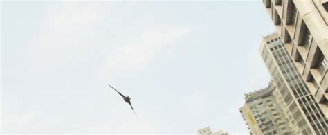 Captainamericacivilwar2016 Eporner