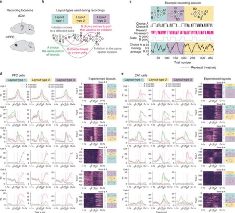 Recording Units Across Multiple Problems In A Single Session A Silicon Download Scientific