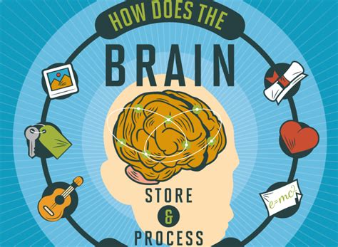 How Does The Brain Store And Process Memories Infographic