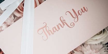 Love Bird Script Font Webfont Desktop MyFonts