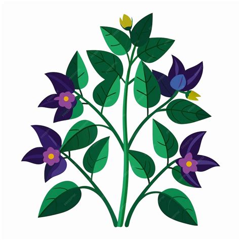 Nightshades Vector Art Premium Ai Generated Vector