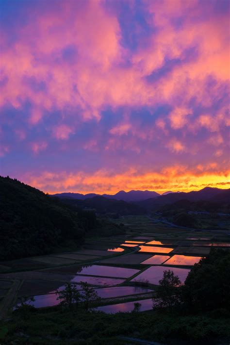 水田と夕焼け GANREF