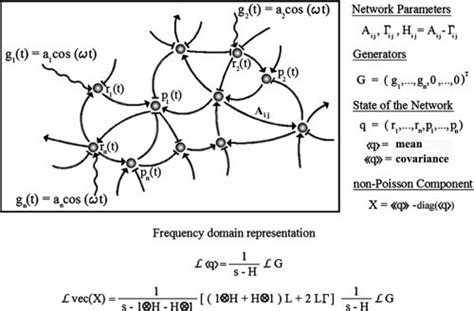 Response Of A Stochastic Genetic Network To An Oscillatory Input The Download Scientific