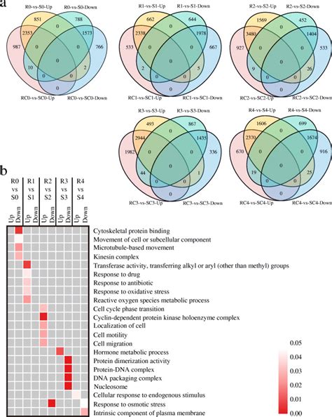Comparative Transcriptome Profiling And Co Expression Network Analysis Uncover The Key Genes