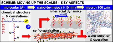 Hierarchy In The Evolution Of Structure And Properties Of Pem Download Scientific Diagram
