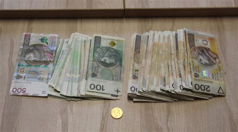 ქართველი მამაკაცი პოლონეთში პოლიციელად ასაღებდა თავს და ხანდაზმულებს დიდი ოდენობით თანხებს