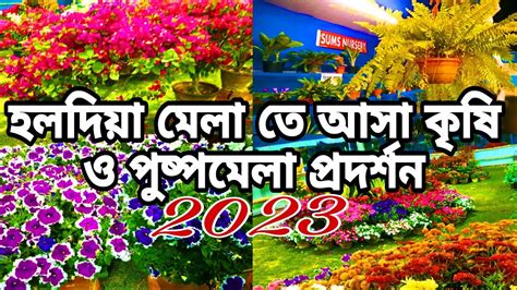 হলদিয়া মেলা তে আসা কৃষি ও পুষ্পমেলা প্রদর্শন🤗🤗 Youtube