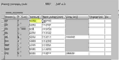 Automatic Payment Program T Code Fbzp