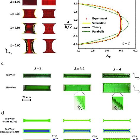 Experimental Simulation And Theoretical Results On The Deformation And
