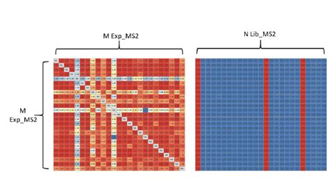 Principle Of Feature Identification By Using Multiple Ms2 Left A Download Scientific Diagram
