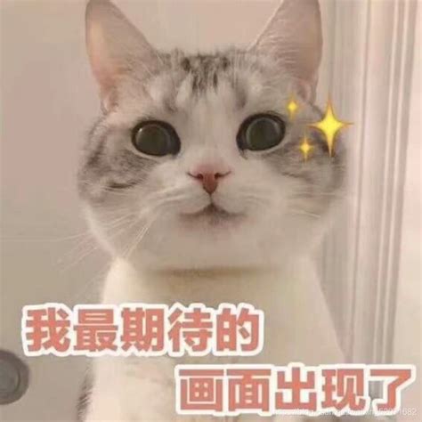转plt plot的颜色 plt plot 颜色 CSDN博客