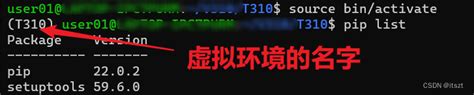 通过vscode的远程连接 Wsl，配置linux平台python开发环境vscode Wsl Csdn博客