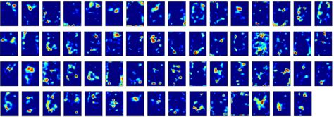 Subfigure B Shows Feature Maps From Conv5 3 Layer When The Input