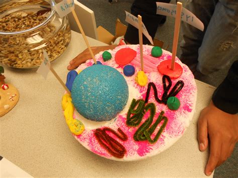3d Cell Project 3d Cell Project Cells Project 3d Projects School