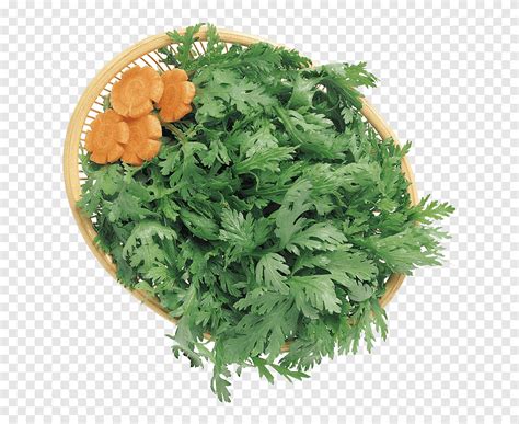 고수 파슬리 당근 녹색 채소 성분 잎 야채 음식 Png Pngegg