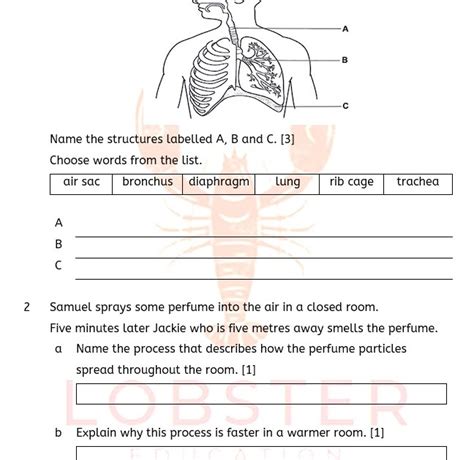 Lobster Education Cambridge Igcse Science Combined 0653 Year 8