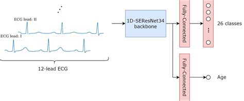 domain generalization tutorials part 2 gathering ai