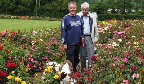 A Fond Farewell For Dickson Roses Storyteller Garden