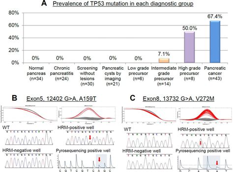 A Prevalence Of Tp53 Mutation By Diagnostic Group B C Shifted