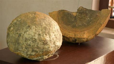 Museum Plans Gallery To Showcase Ariyalur Regions Fossils The Hindu