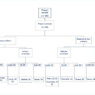 Interview Sampling Strategy Download Scientific Diagram