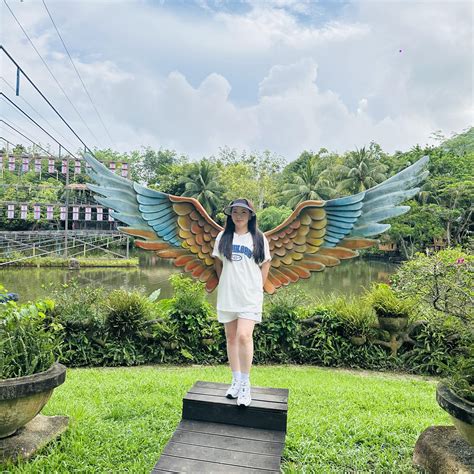 Monos Food Монос Хүнс Чацаргана жимс нь С В төрлийн витаминууд каротин фолийн хүчил зэрэг