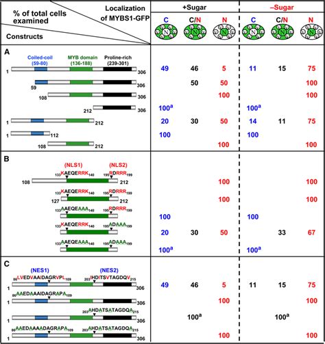 Bipartite Nls And Nes Are Involved In The Sugar Regulated Cellular