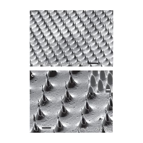 Pdms Microneedle Mold