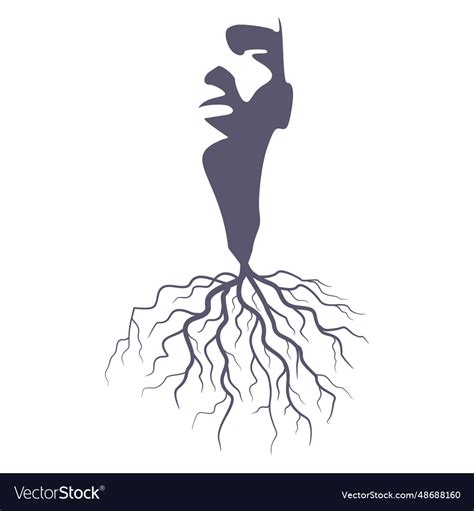 Beautiful Tree With Female Face Natural Cosmetics Vector Image