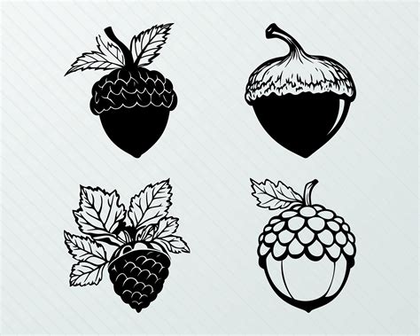 Acorn Svg Png Acorn Clipart Acorn Silhouette Fruit Decal Acorn Vector Art Acorn Outline