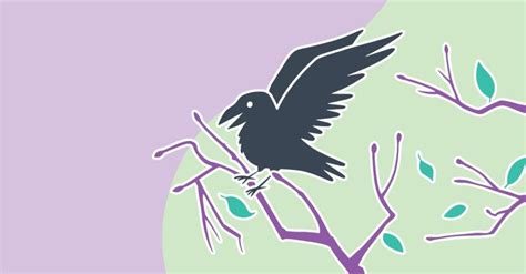 Payman Asemany Gohar On Linkedin Ravendb Vs Mongodb