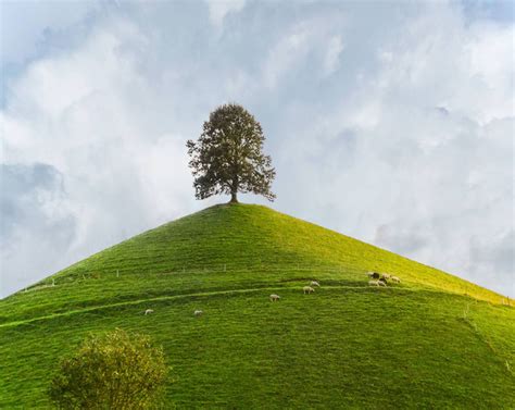 Lens Correction Image Distortion Correction I Skylum