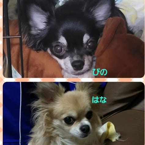 Chizu Chizu1103 On Threads