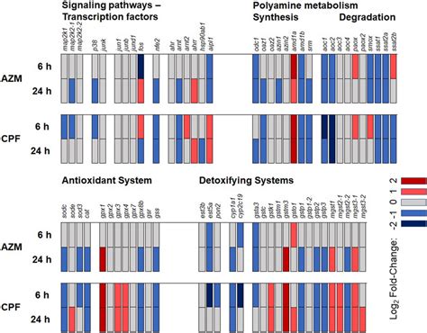Heatmap Representation Of Op Effects On Selected Gene Expression In R Download Scientific