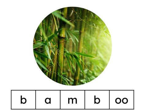 Second Grade Phonics Program Week 21