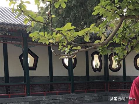 北京遊記之六頤和園樂壽堂德和園你的喜好我眼中的奢華 每日頭條