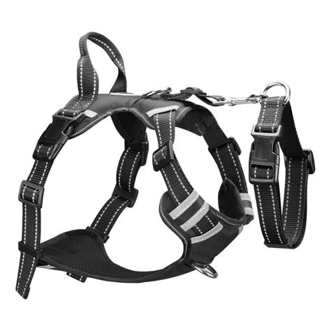 Products Page 2 Patpet