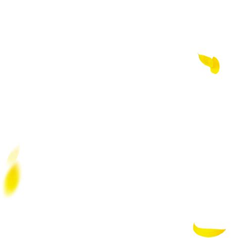 黄色花瓣图片 植物素材图片素材 花瓣网