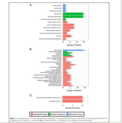 Plotting Different Gene Ontology Categories In A Barplot