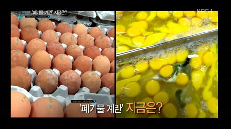 ‘폐기물 계란 지금은 Youtube