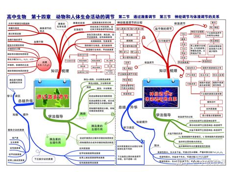最全高中生物思维导图（45张高清大图）扫清高中三年知识点！知识串联｜高效复习｜考试提分｜可下载打印 知乎