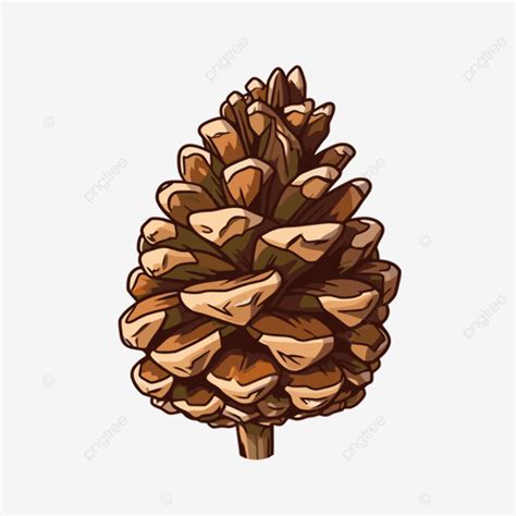 Pine Cone Clipart Pine Cone Vector Illustration Cartoon Cartoon Clipart Cone Clipart Pine