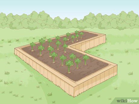 3 Easy Ways To Break Down Clay Soil Fast WikiHow